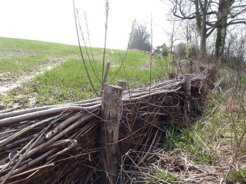 Les fascines contre les coulées de boue - Ecolo Soumagne